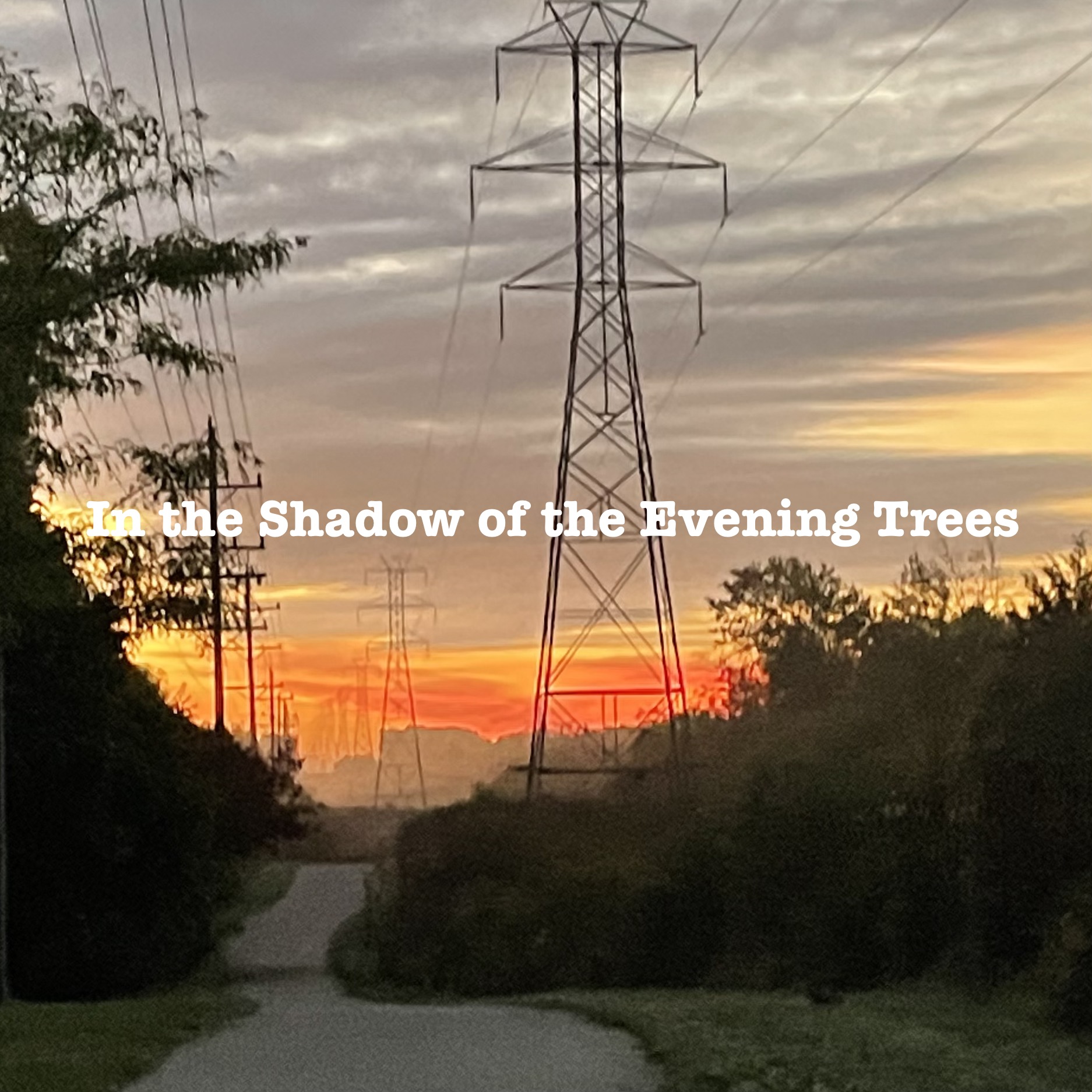 Episode 15: Anger Can Be Power - In the Shadow of the Evening Trees